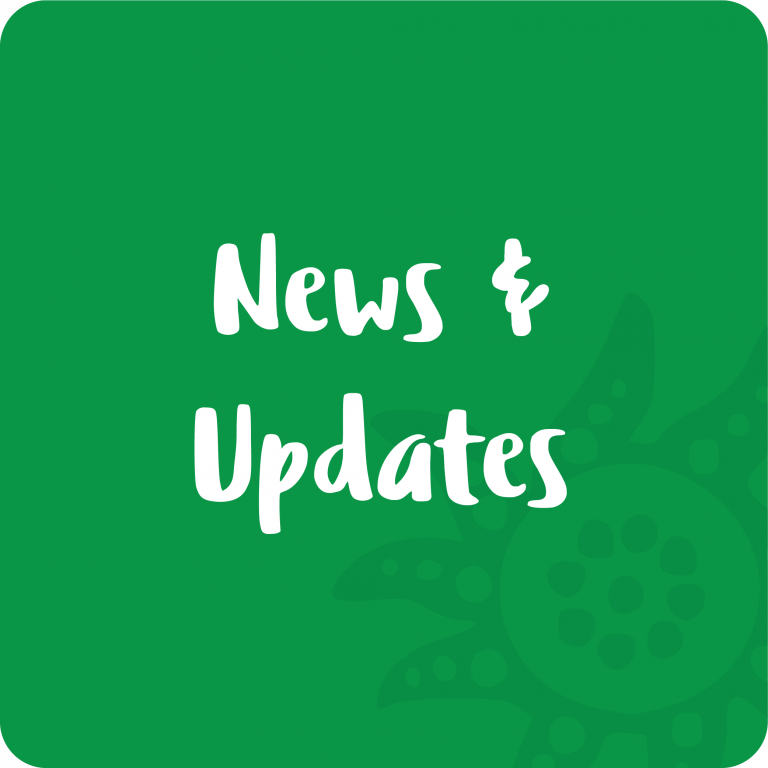 Kurbingui Youth & Family Development – A Deadly Organisation that ...